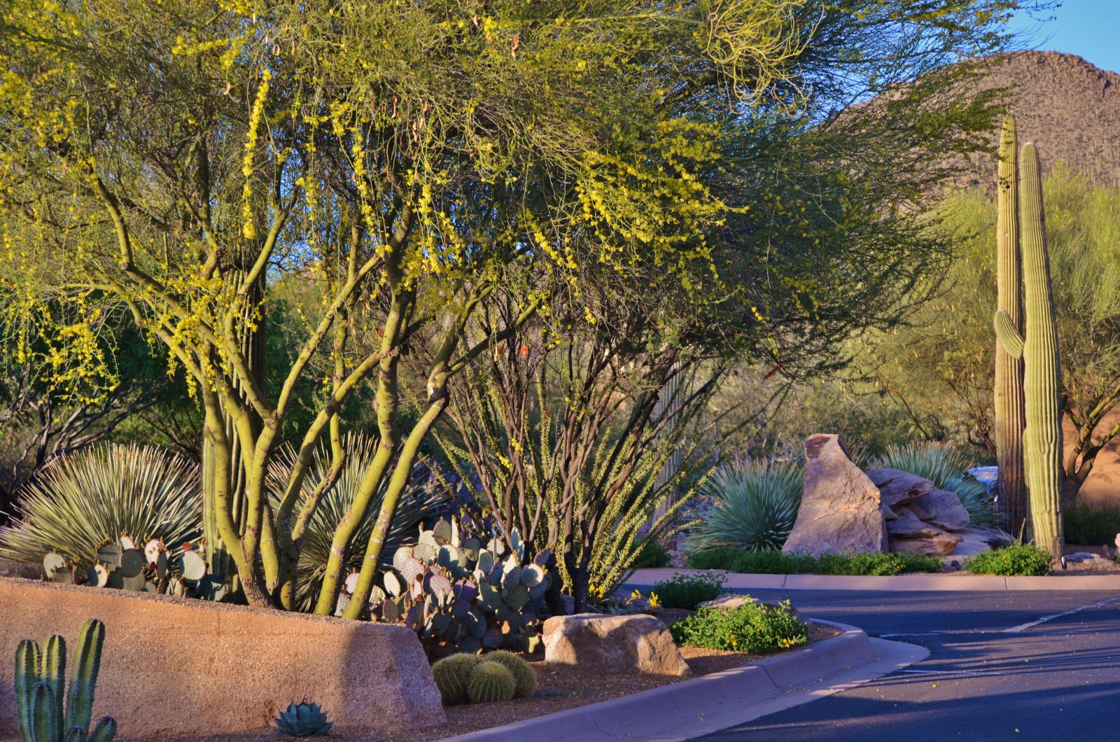 Membership Packages | Metropolitan Pima Alliance